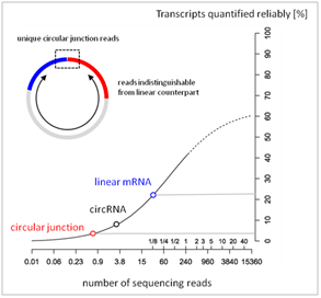 CircRNA Array | Superior Circular RNA Expression Profiling to CircRNA ...