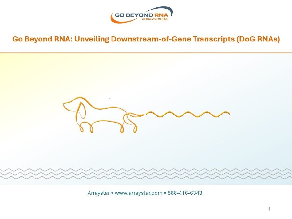 Downstream-of-gene (DoG) RNAs - Arraystar