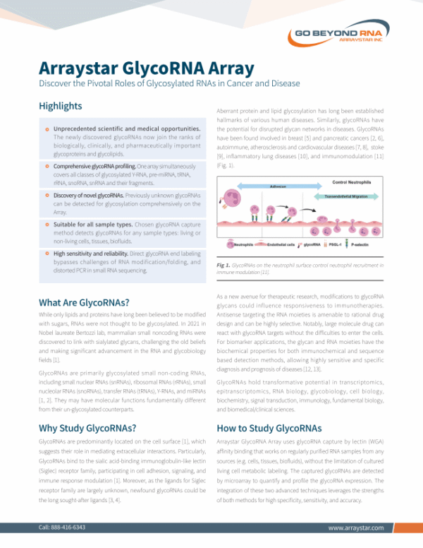 What Are GlycoRNAs? - GlycoRNA Research - News | Arraystar