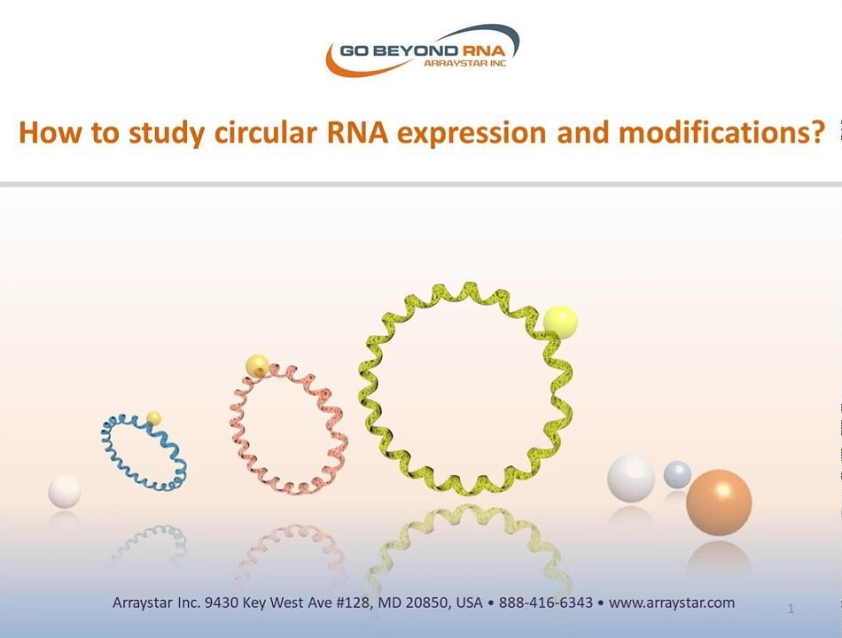 How to Study Circular RNA Expression and Modifications? - Arraystar